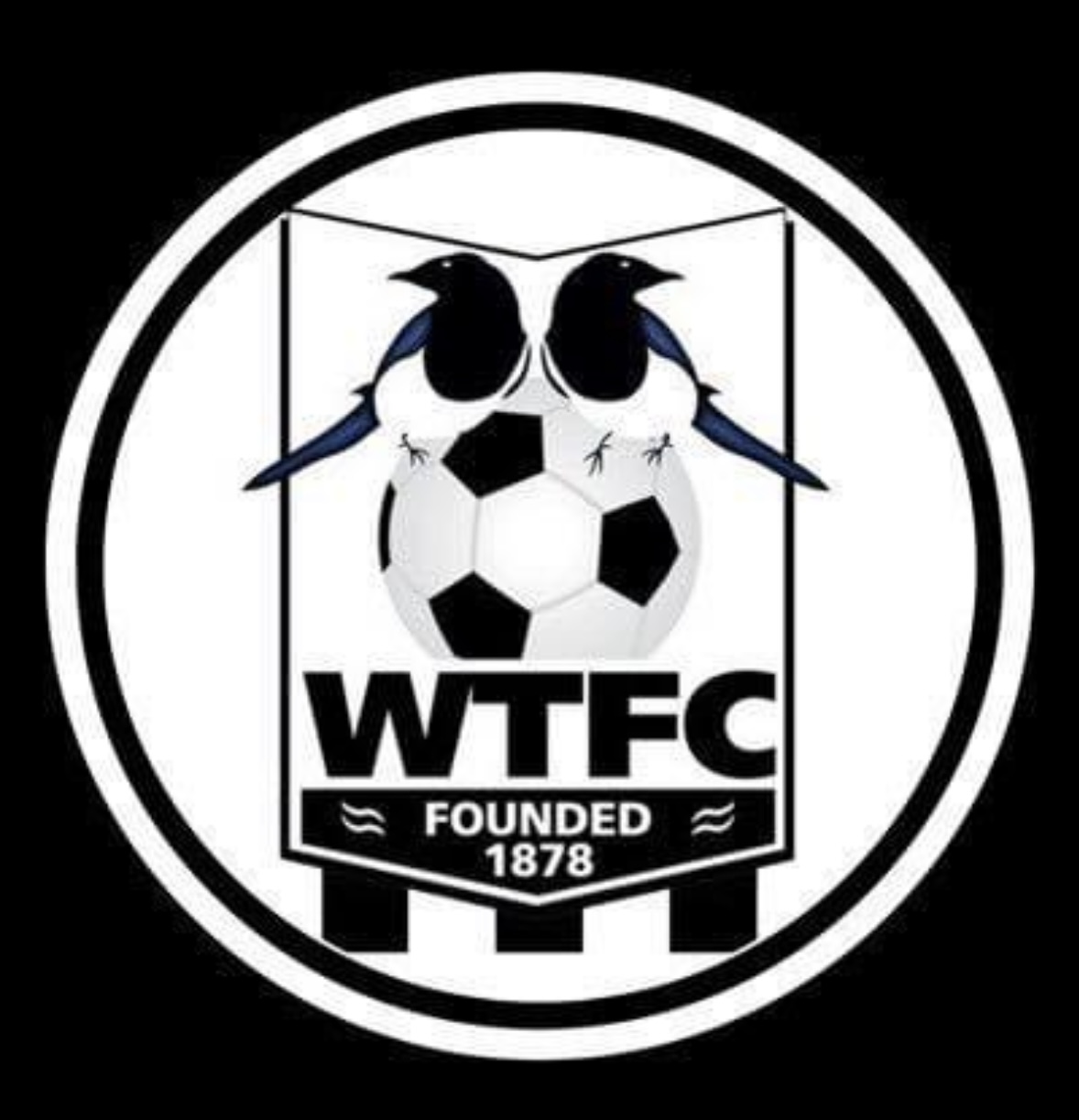 Holiday Camps 4 13yrs At Wimborne Town Fc Wimborne Wimborne Town